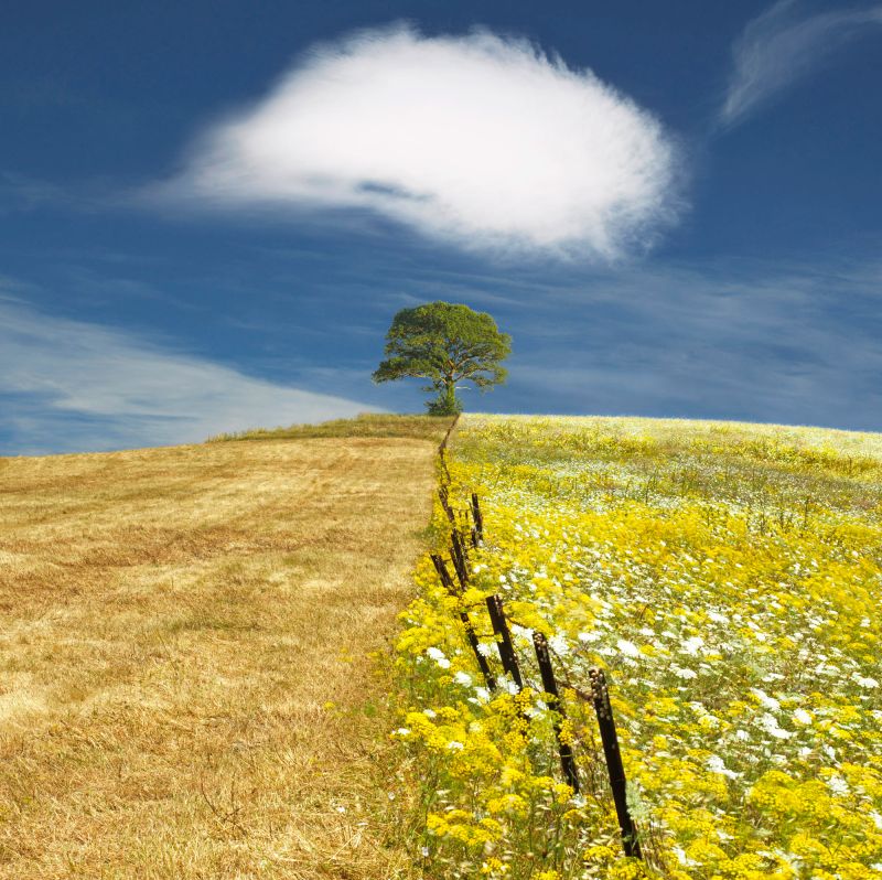 Charlie Waite | Photography Tour Tutor | Landscape Photographic Tour ...