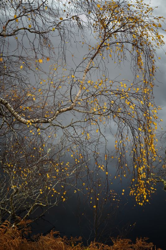 Joe Cornish | Landscape Photography Tour Tutor | Photographic Tour ...