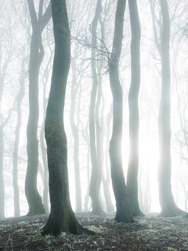 Joe Cornish | Landscape Photography Tour Tutor | Photographic Tour ...