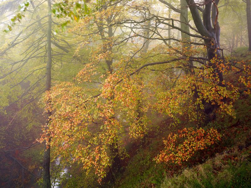 Joe Cornish | Landscape Photography Tour Tutor | Photographic Tour ...