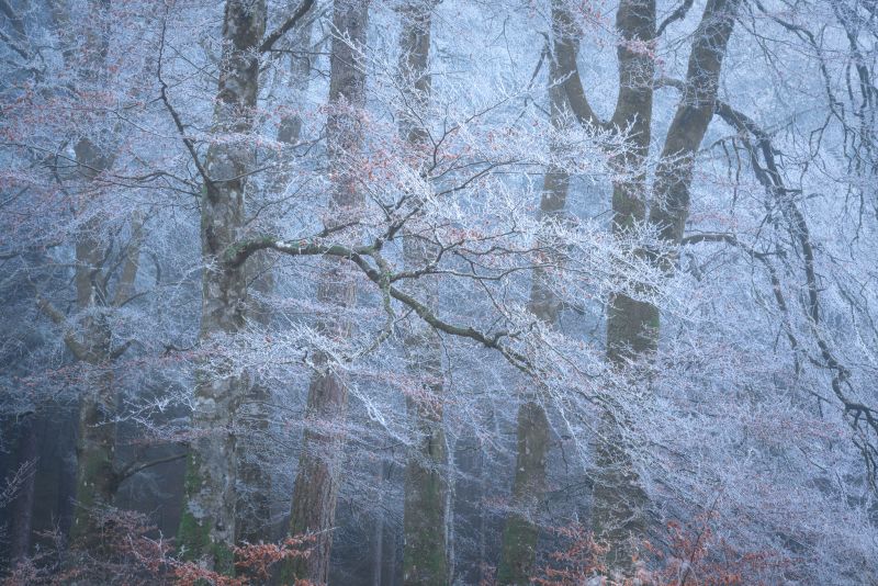 Joe Cornish | Landscape Photography Tour Tutor | Photographic Tour ...