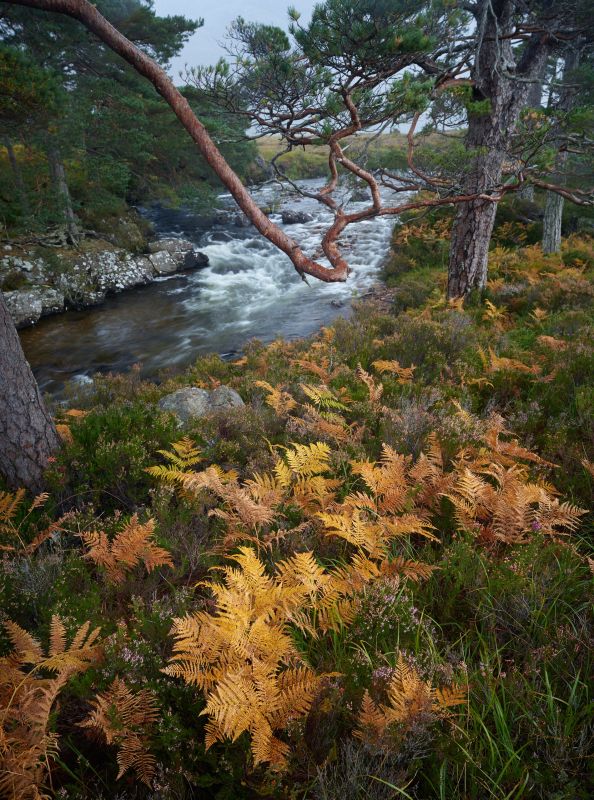 Joe Cornish | Landscape Photography Tour Tutor | Photographic Tour ...