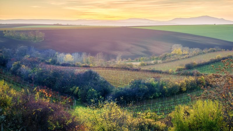 Moravia Photography Tour | Moravia Photography Holiday | Moravia ...