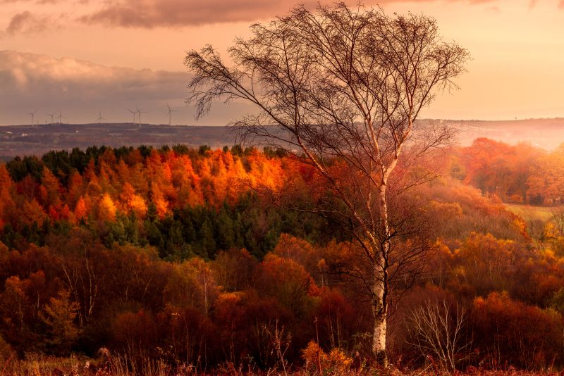 Peter Fenech | Landscape and City Photography Workshops Tutor ...