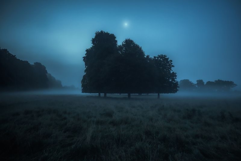 Verity Milligan | Landscape Photography Tour Tutor | Photographic Tour Tutor | Light and Land