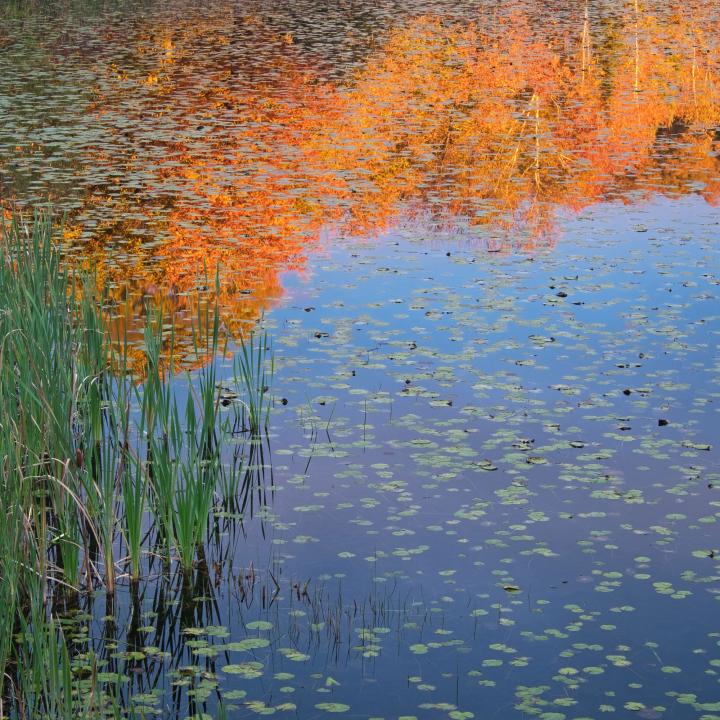 Q&A: Clive Minnitt reflects on his life in photography over the last year