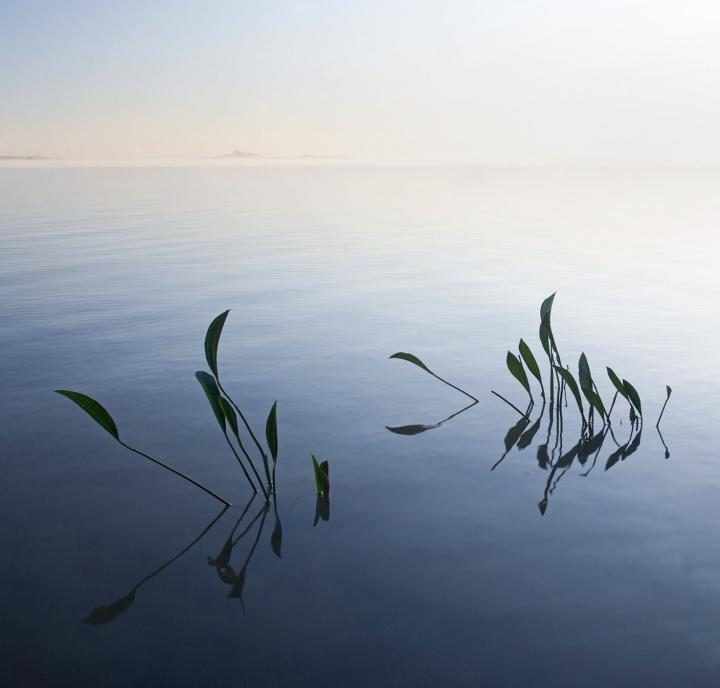 Charlie Waite discusses his love for photographing water