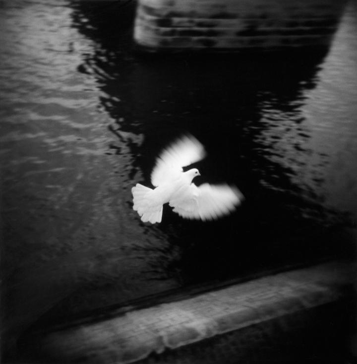 Michael Kenna interview Curiosity is important | Michael Kenna ...