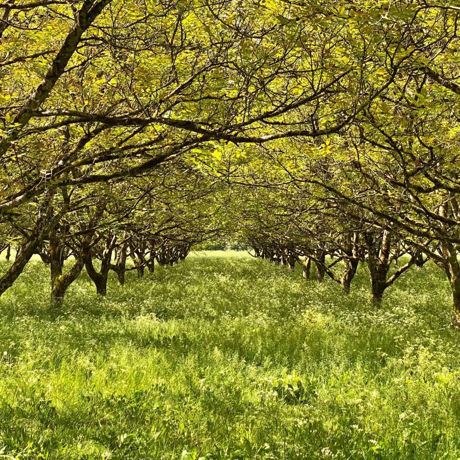 Charlie Waite | Photography Tour Tutor | Landscape Photographic Tour ...